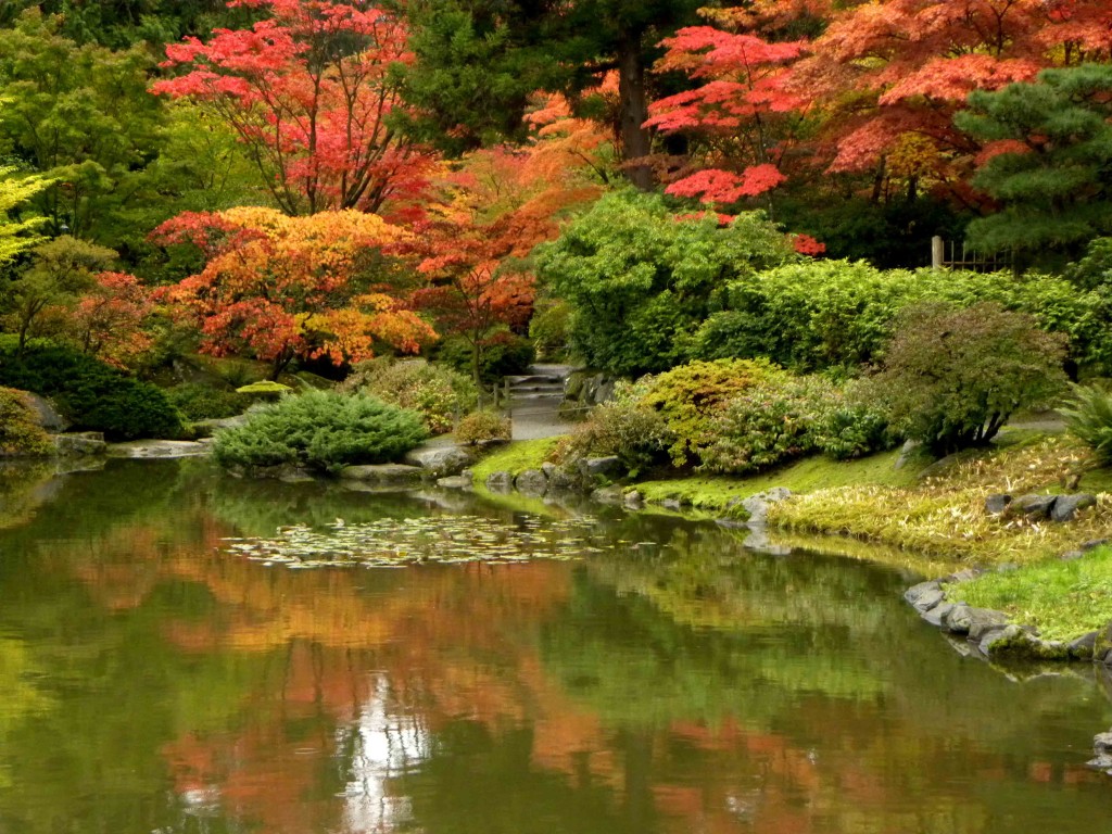 5 Reasons You Need to Visit Seattle in Fall Season